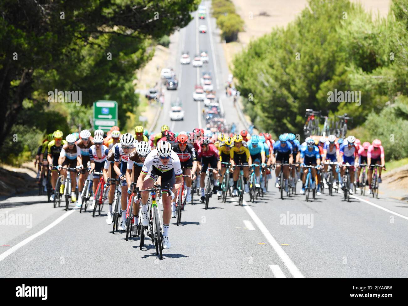 The peloton is seen during stage six of the Tour Down Under from ...