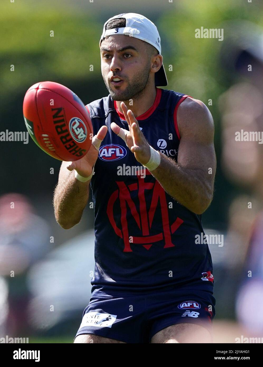 Christian Salem of the Demons in action during a Melbourne Demons ...
