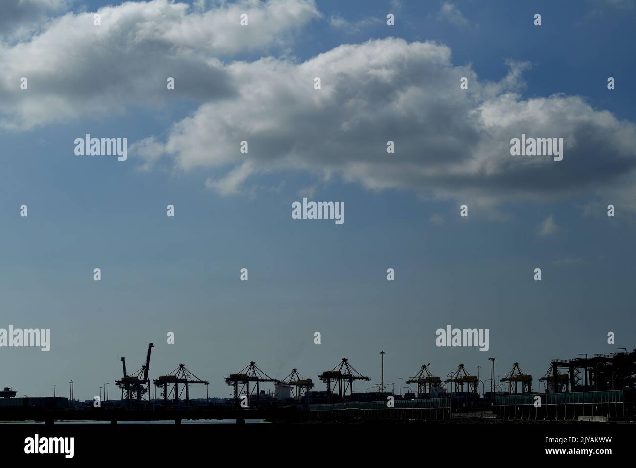 Shore to ship cranes are seen at the Port Botany container terminal in ...