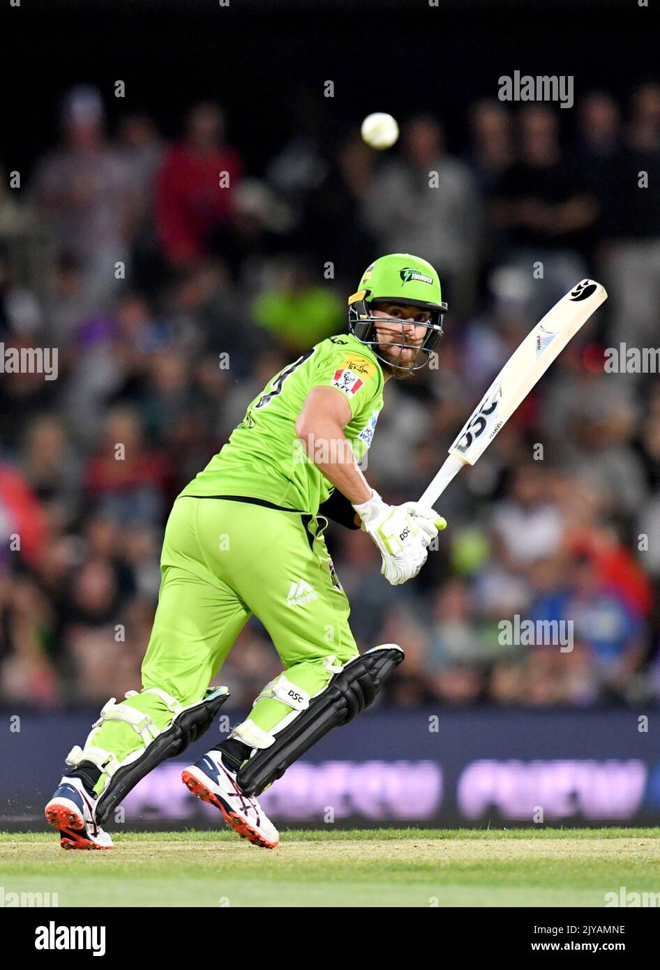 Alex Ross of the Thunder in action during the Big Bash League (BBL ...