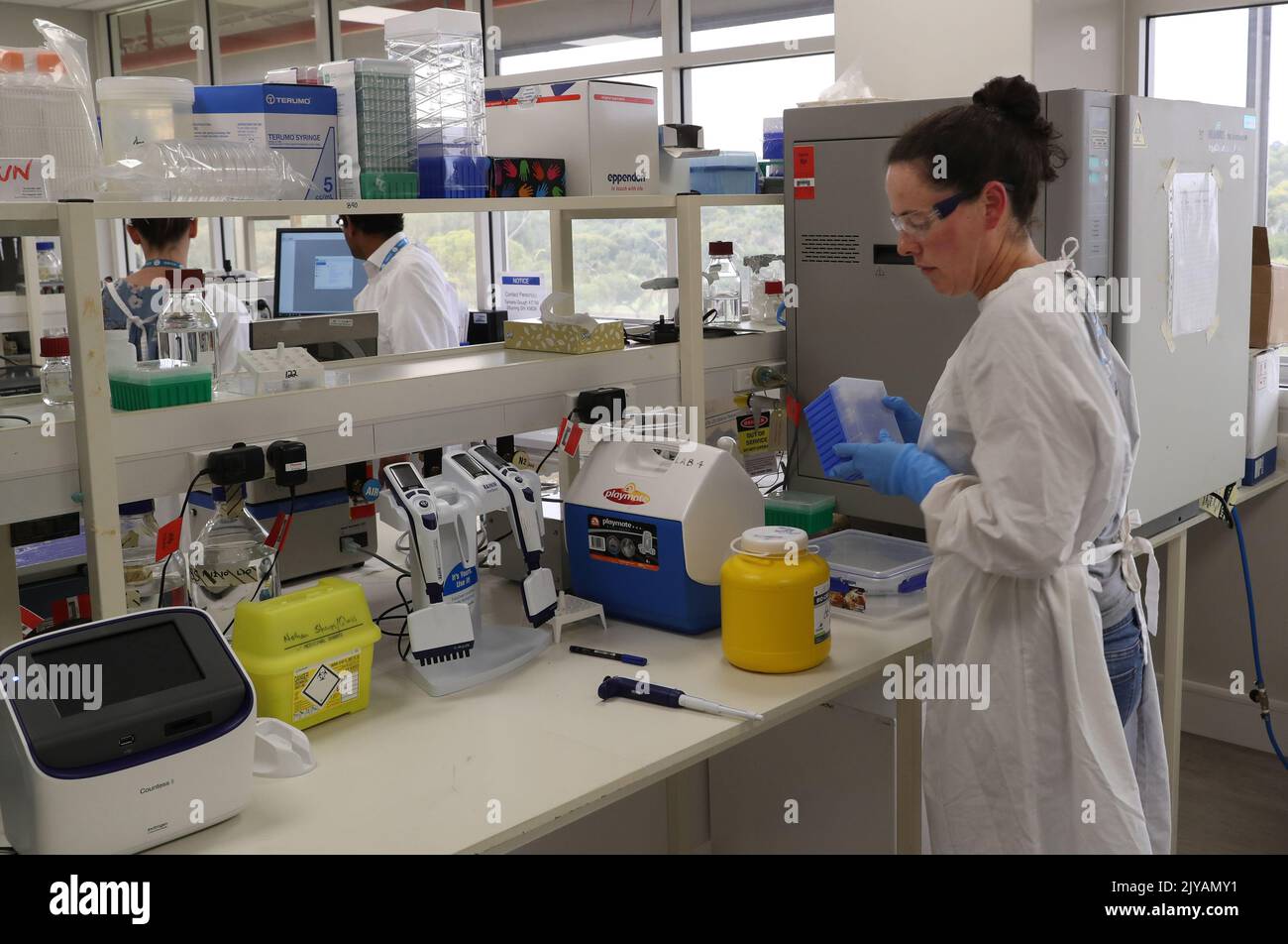 Scientists at work in the CSIRO's high-containment facility in Geelong ...