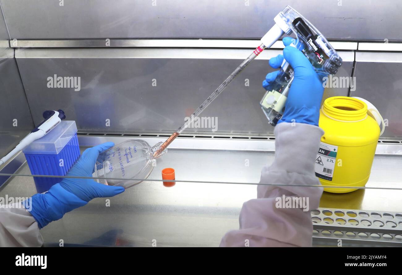 Generic image showing scientists at work in the CSIRO's high ...