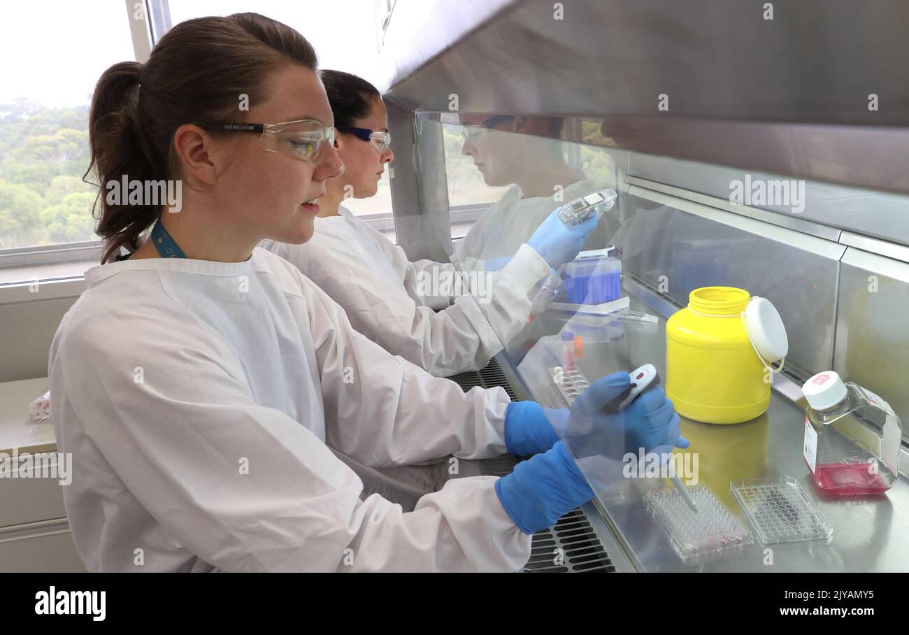 Scientists at work in the CSIRO's high-containment facility in Geelong ...
