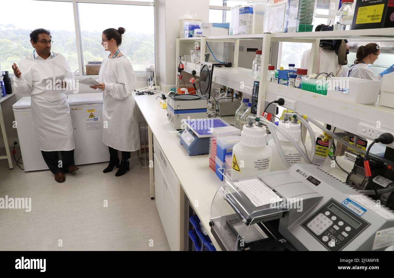 Scientists at work in the CSIRO's high-containment facility in Geelong ...