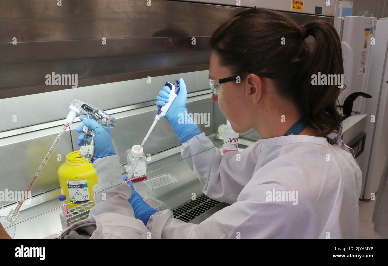 Scientists at work in the CSIRO's high-containment facility in Geelong ...