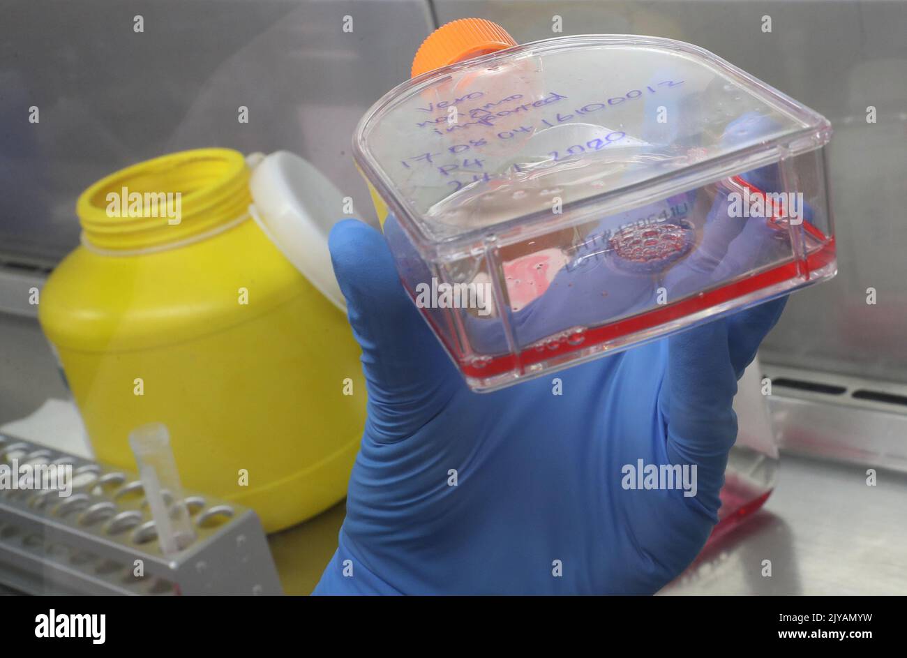 Generic image inside a lab at the CSIRO's high-containment facility in ...