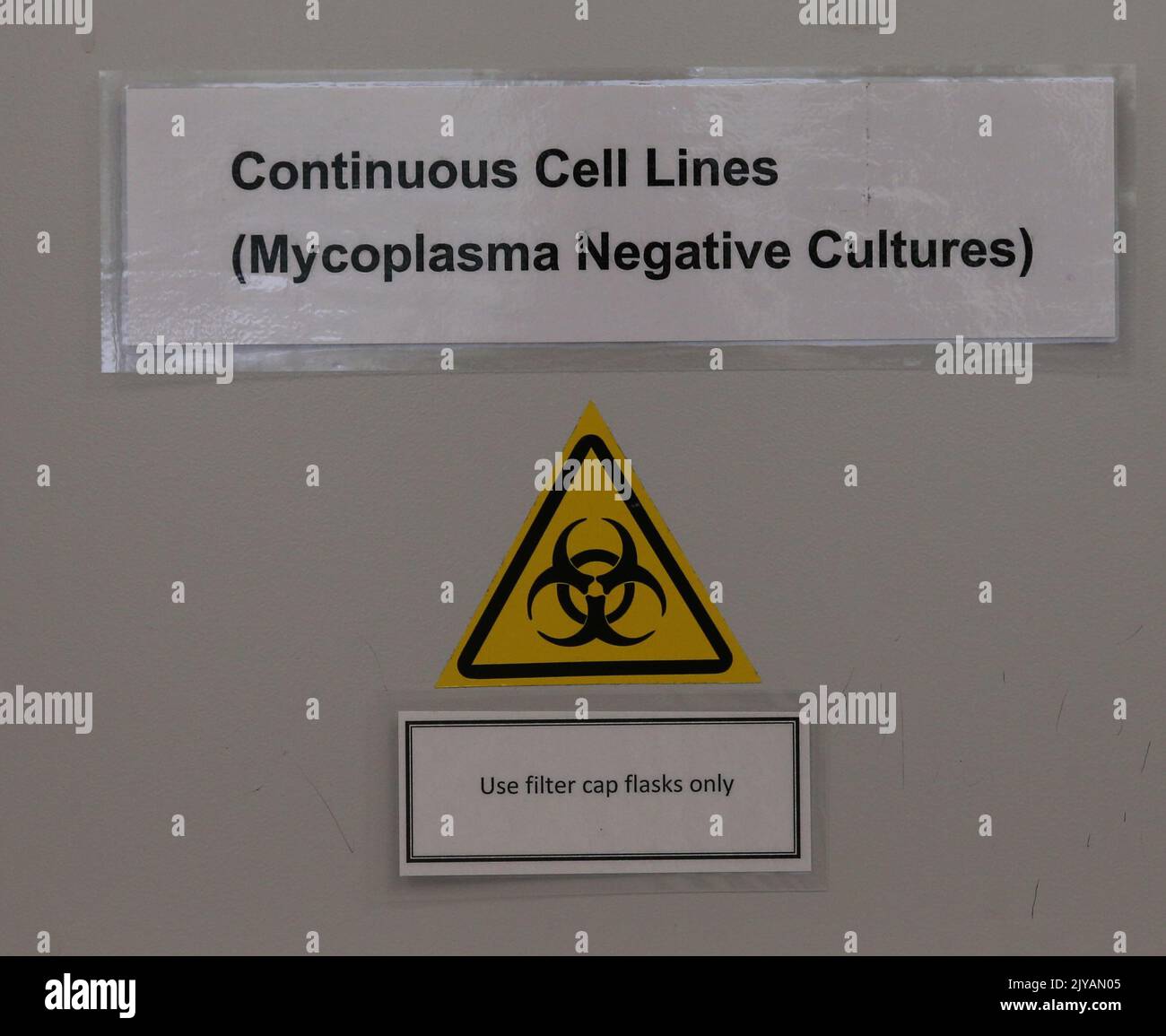 Generic image inside a lab at the CSIRO's high-containment facility in ...