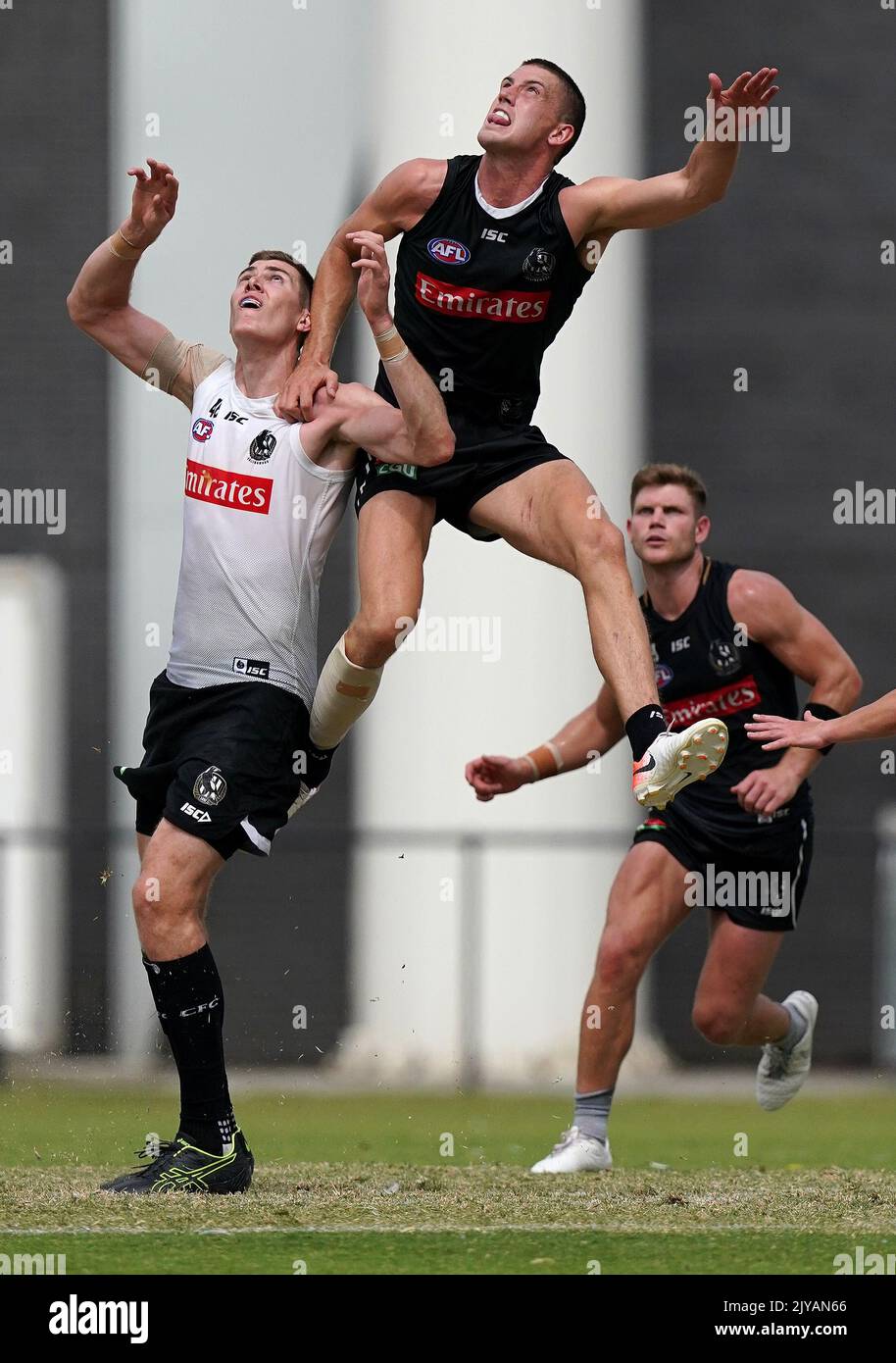 Darcy Cameron of the Magpies in action during a Collingwood Magpies AFL ...