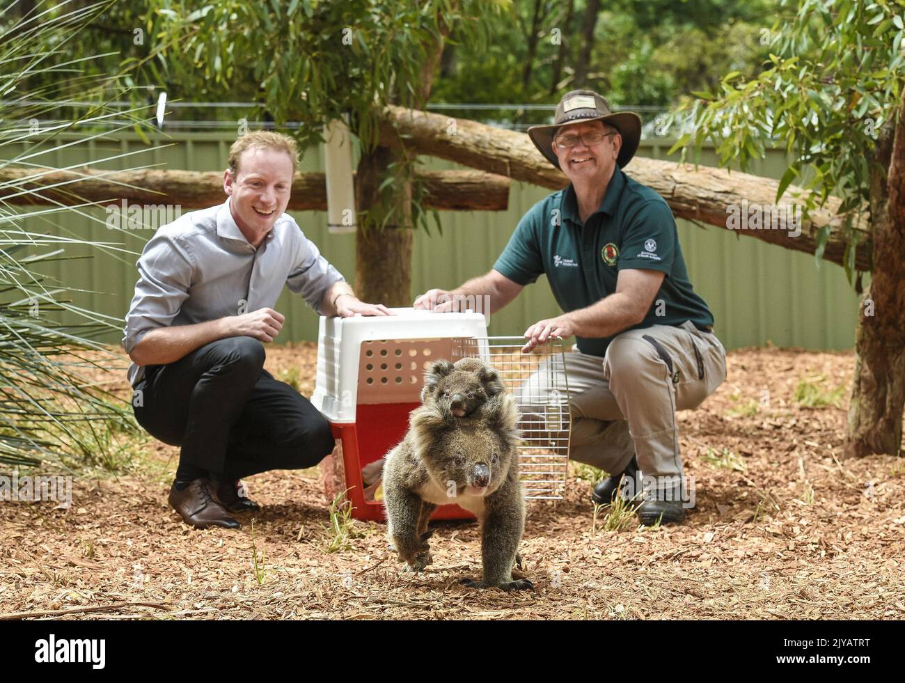 Environment Minister David Speirs and Cleland Wildlife park Vet Ian ...
