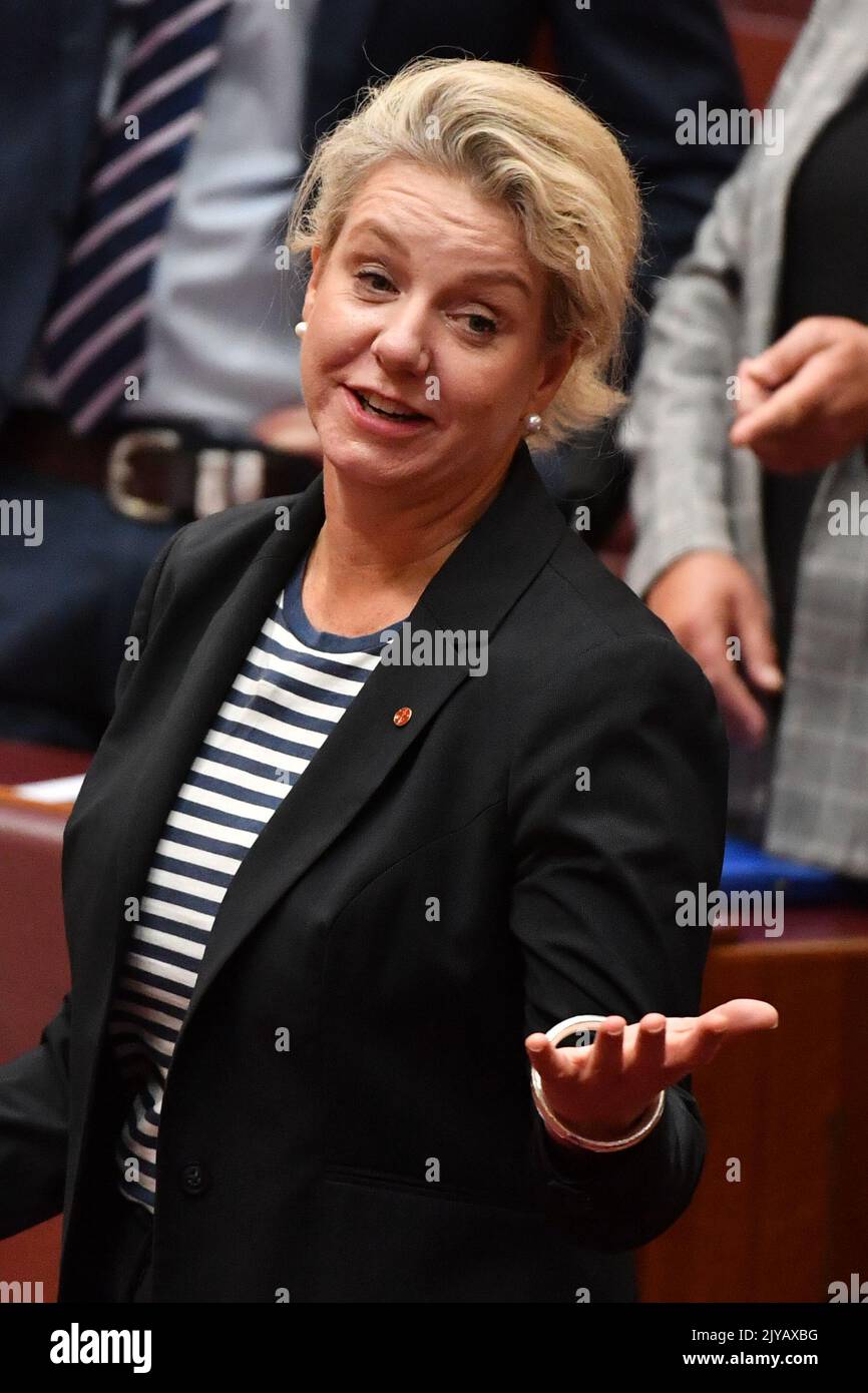Nationals Senator Bridget McKenzie in the Senate chamber at Parliament ...