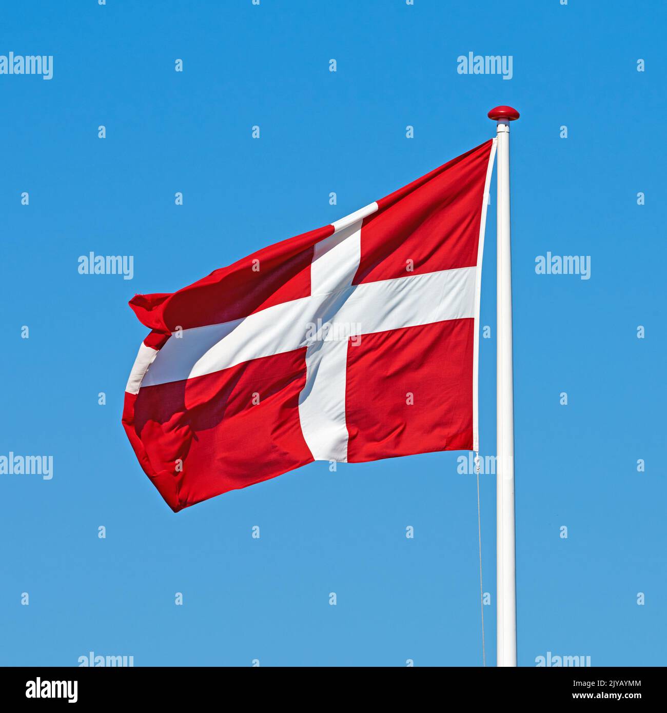 The Danish Flag. the Danish flag blowing against a blue background ...