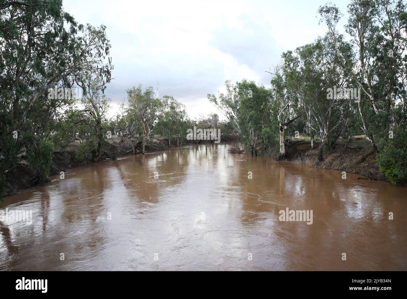 The Namoi River on James Barlow's farm in Gunnedah, Monday, February 10 ...