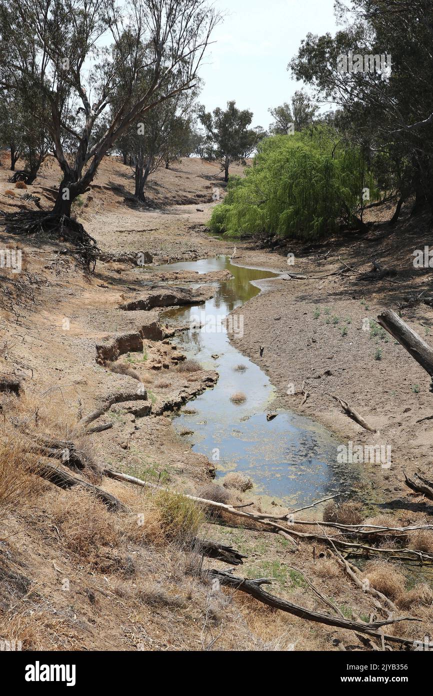 **FILE** The dry Namoi River through James Barlow's 2200 acres cropping ...