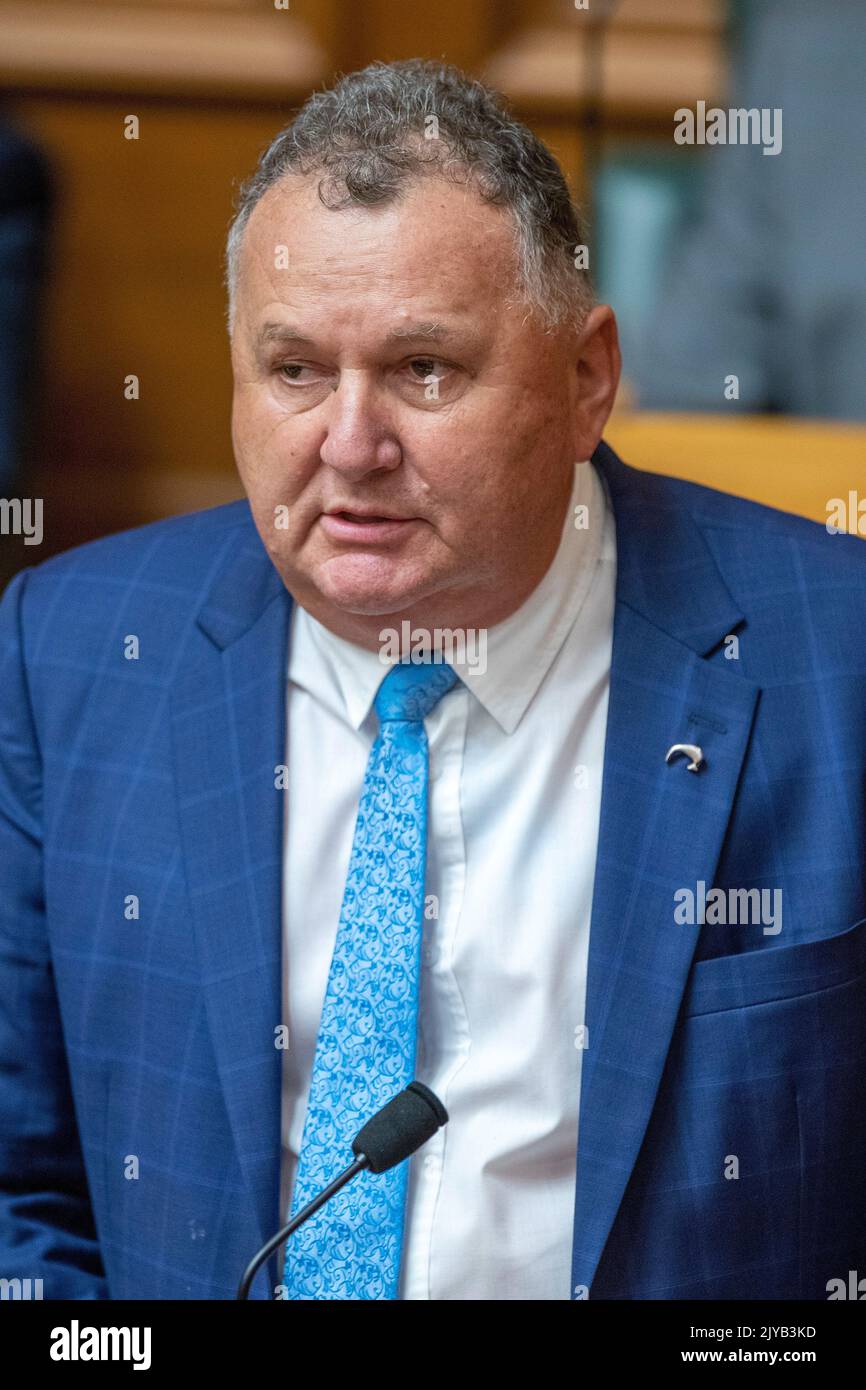 Shane Jones, Infrastructure Minister speaking in the chamber on the ...