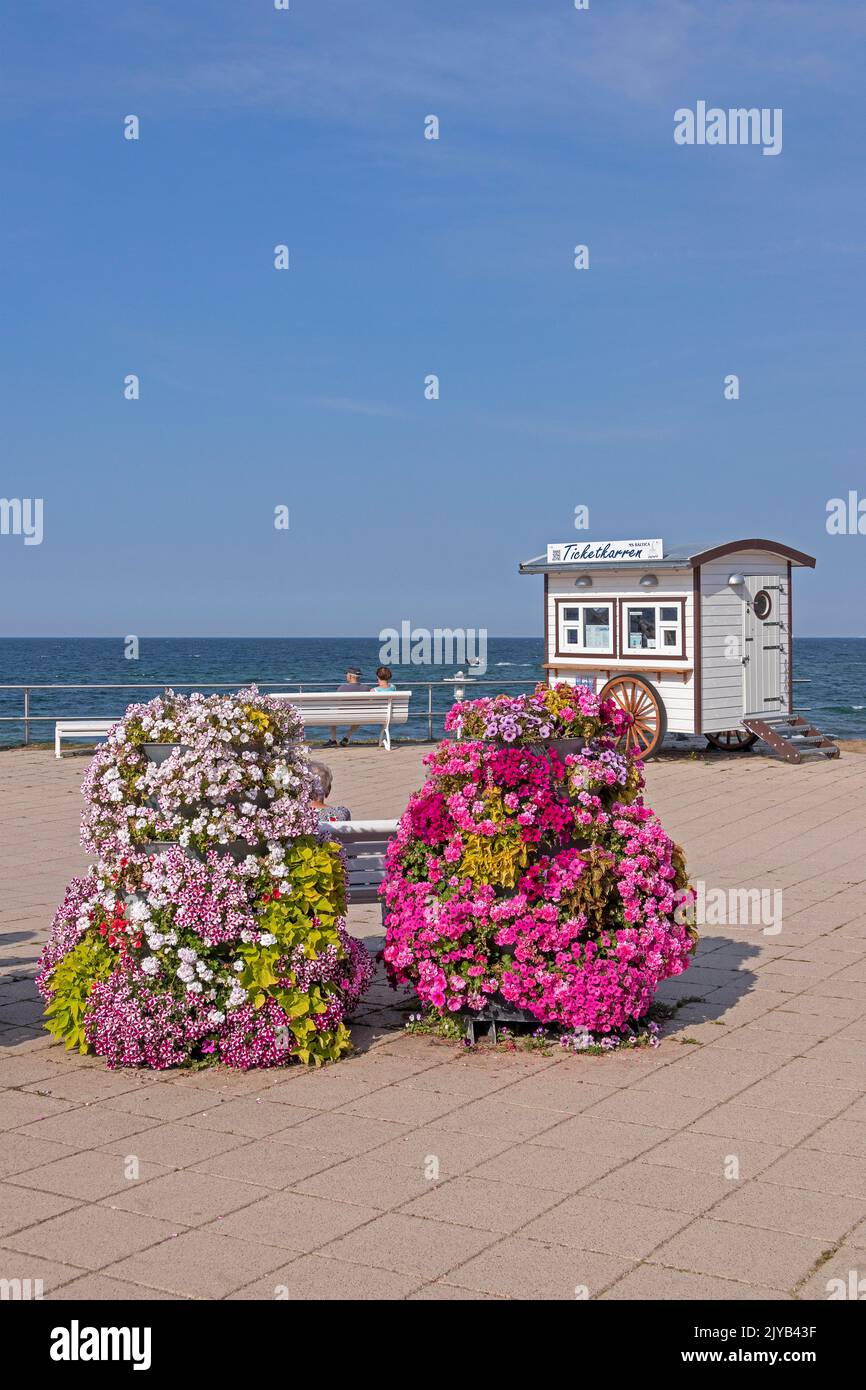 Baltic flowers hi-res stock photography and images - Alamy