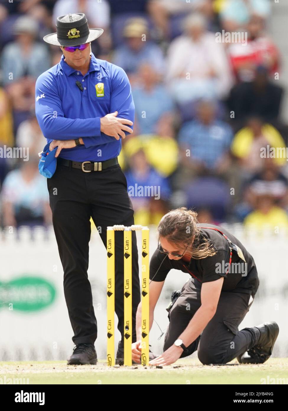An official fixes the trap door which houses the stump microphones ...