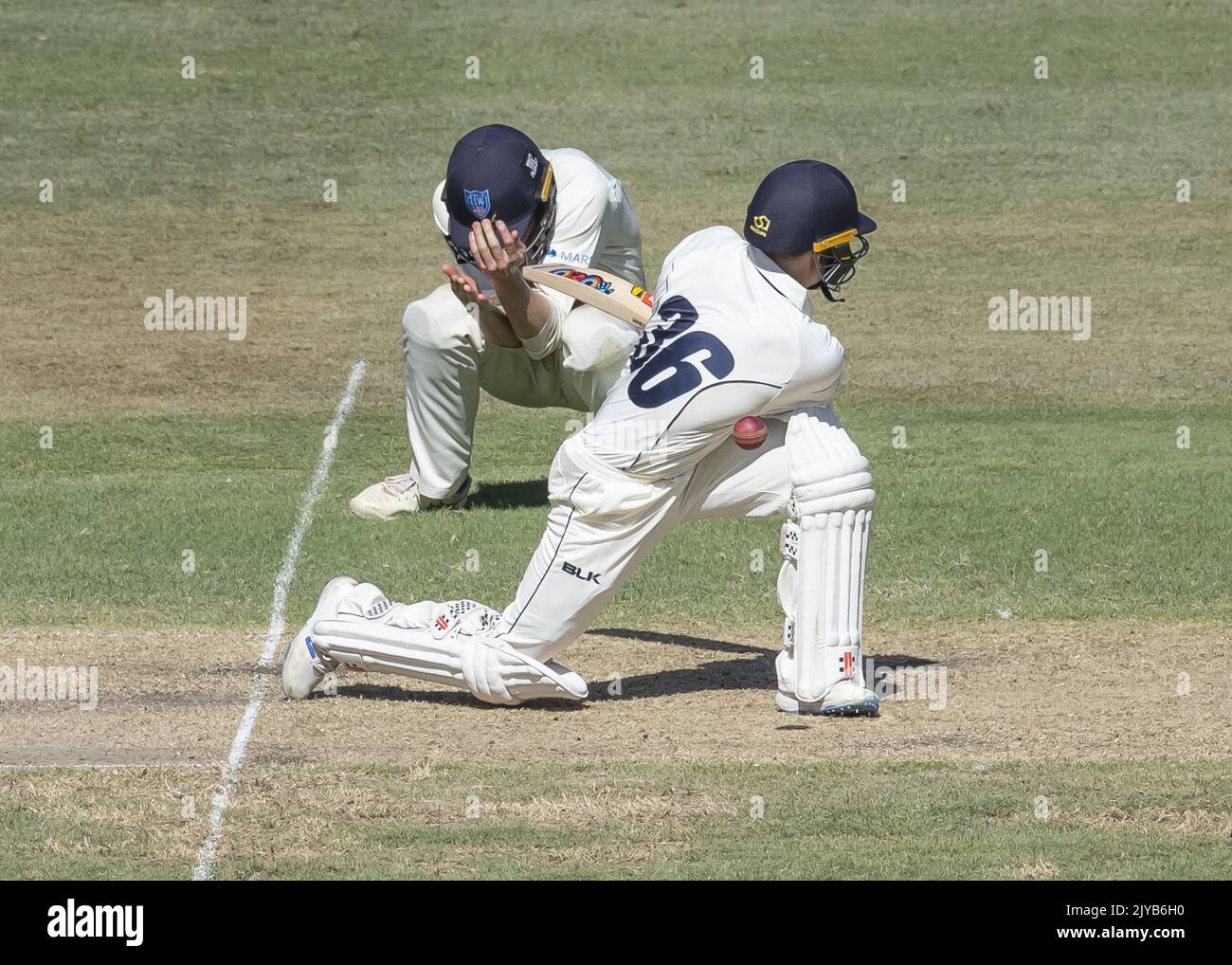Seb Gotch of Victoria is hit during the Marsh Sheffield Shield match ...