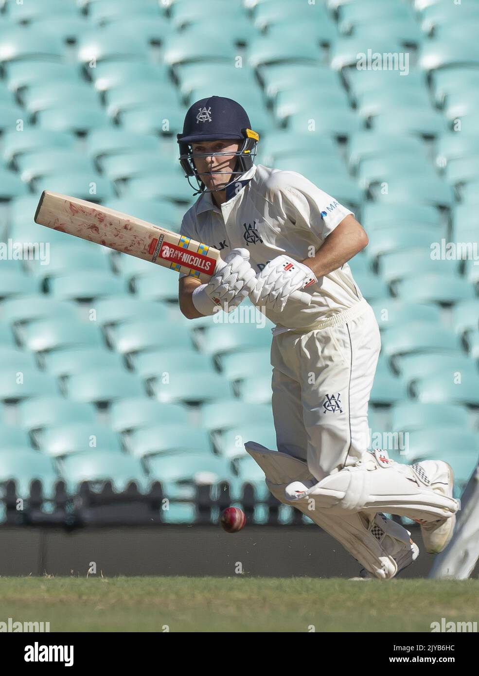 Seb Gotch of Victoria scores half century during the Marsh Sheffield ...