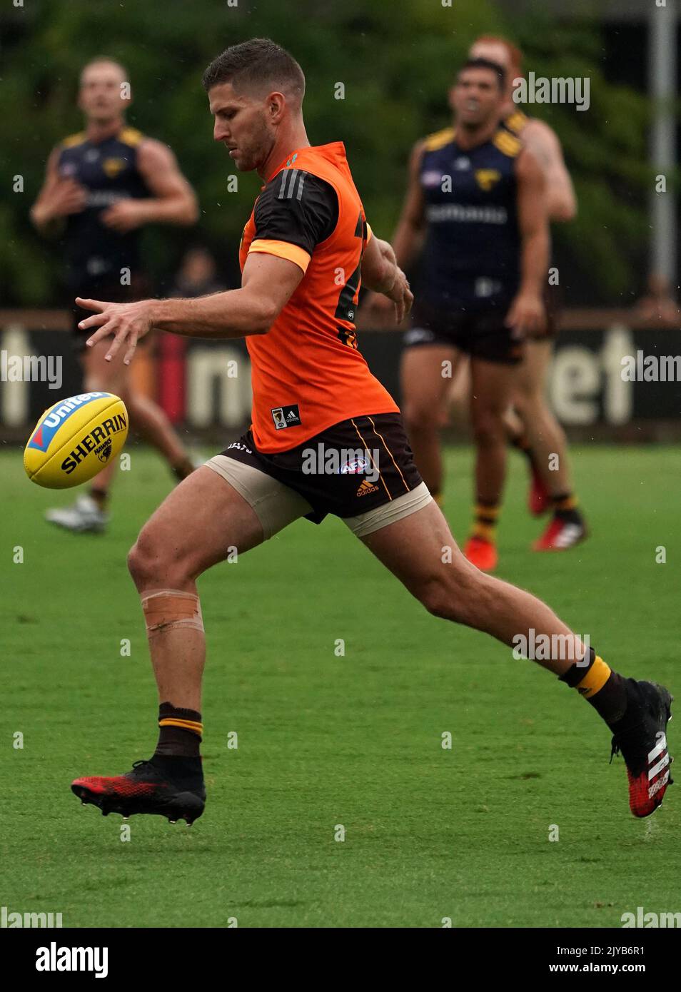 Luke Breust of the Hawks in action during a Hawthorn Hawks AFL ...