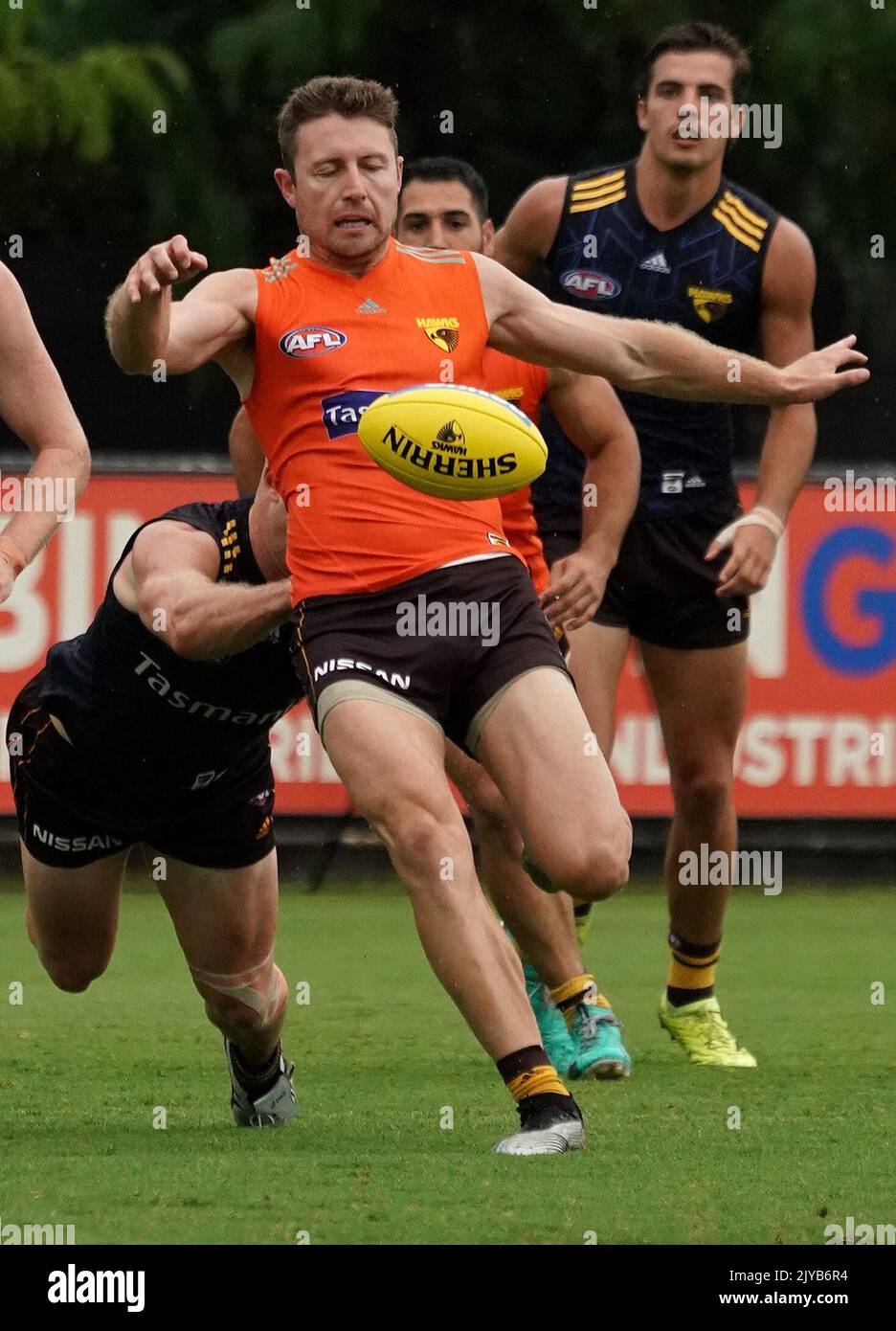 Liam Shiels of the Hawks in action during a Hawthorn Hawks AFL ...