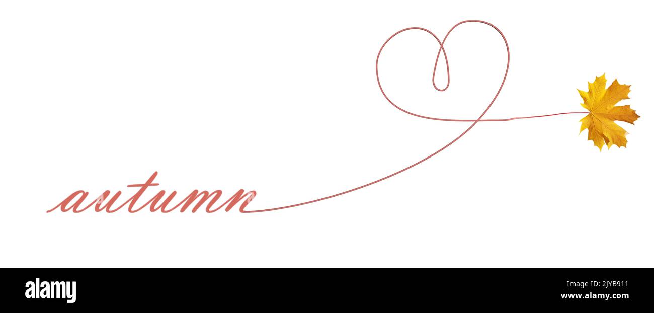 autumn love heart text word check up, yellow autumn leaf isolated for ...