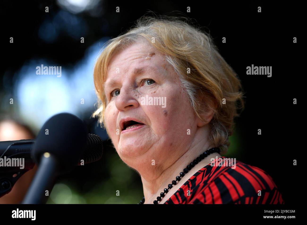 Betty Taylor, CEO of The Red Rose Foundation, speaks during a domestic ...
