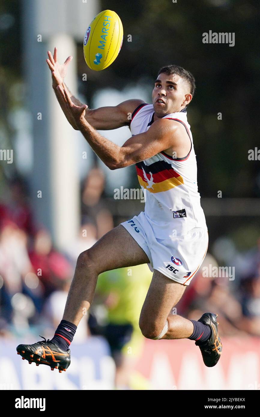 Tyson Stengle of the Crows marks the ball during the AFL Marsh ...