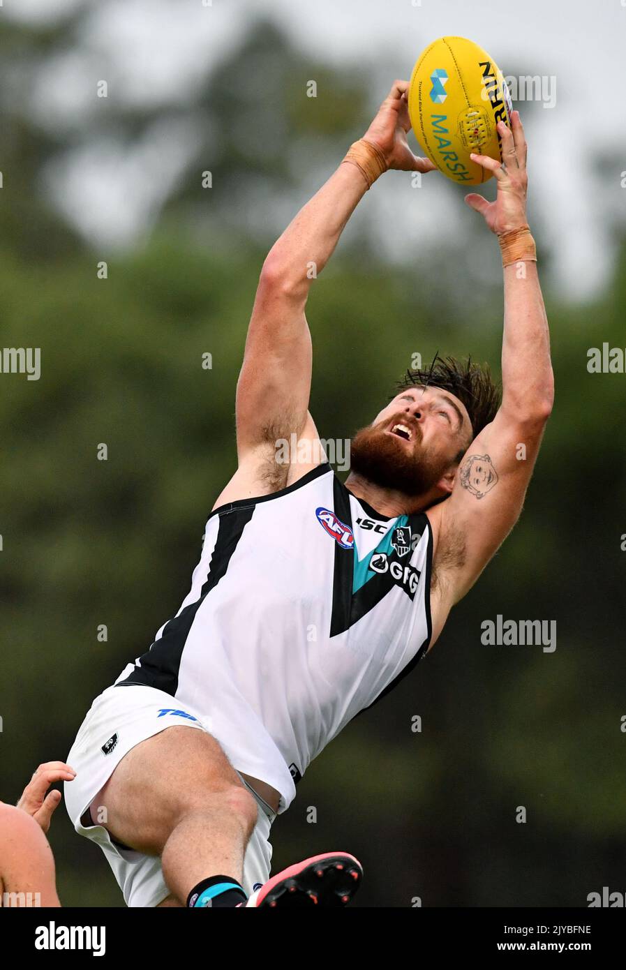 Charlie Dixon of the Power takes a mark during the AFL Marsh Community ...