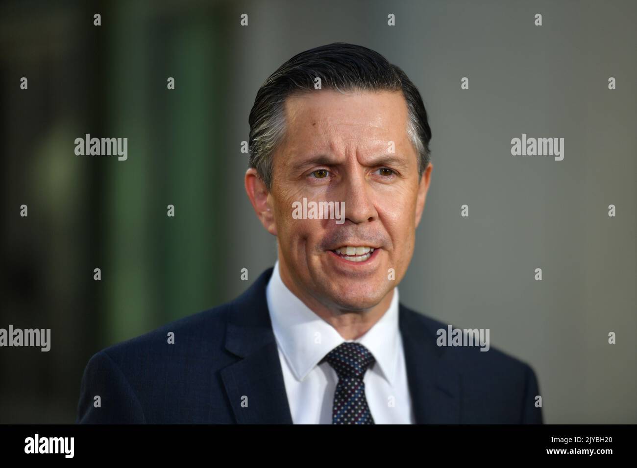 Shadow Minister for Climate Change Mark Butler at a press conference at ...