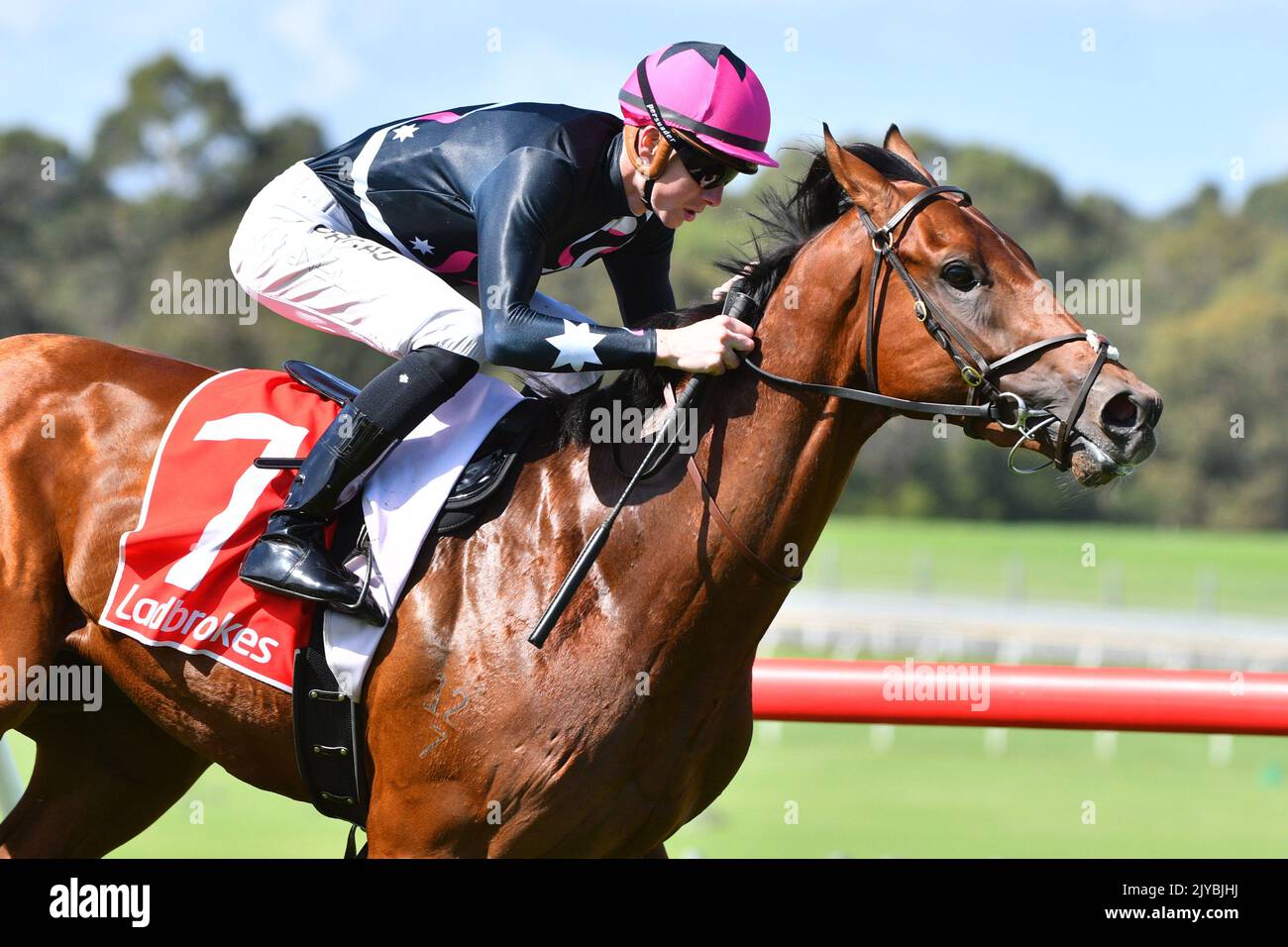 Jockey Jye McNeil rides Unanimous to victory in race 2, the Ladbrokes ...