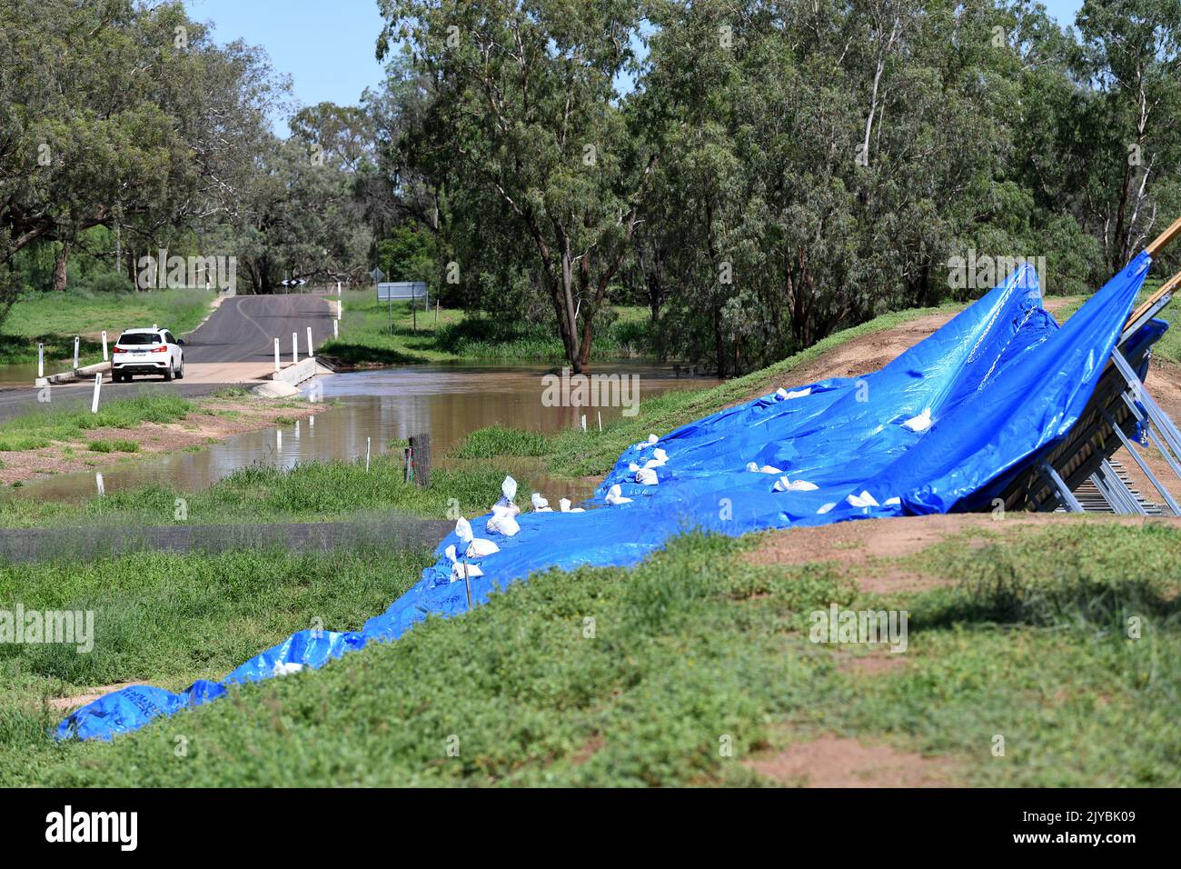 A levee protects homes from the swollen Balonne river in St George ...