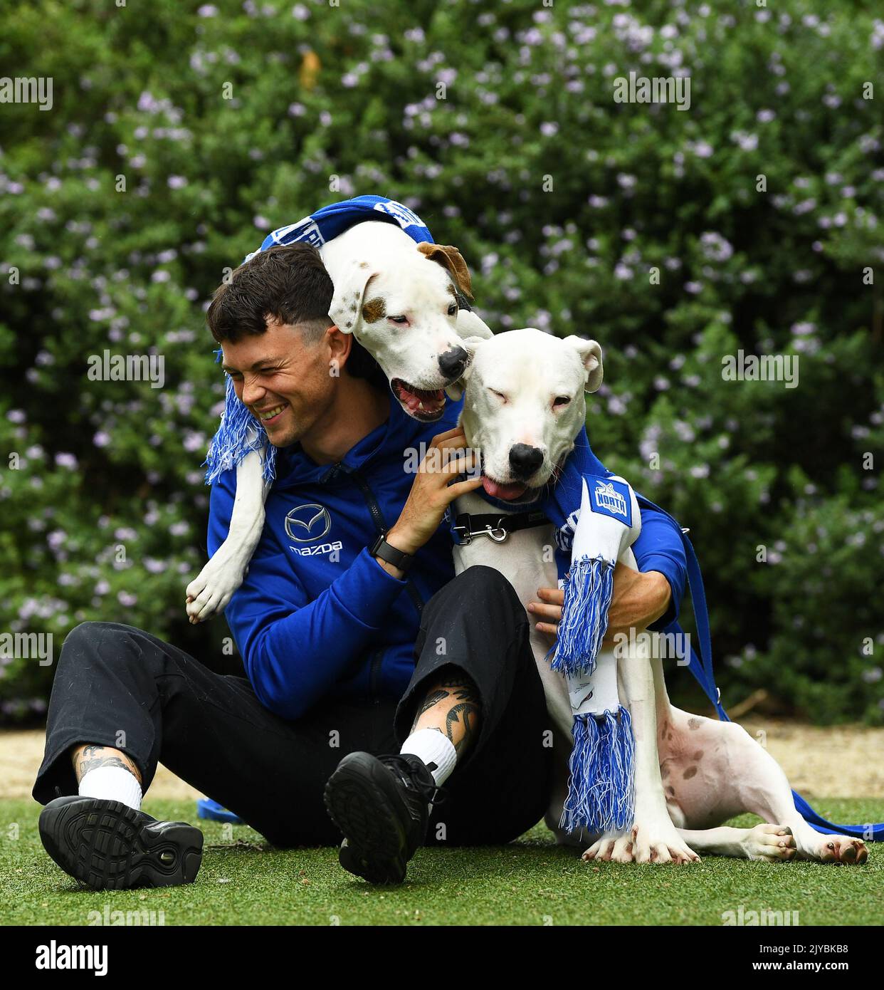 Jasper Pittard of Kangaroos poses for a photograph with dogs Roo ...