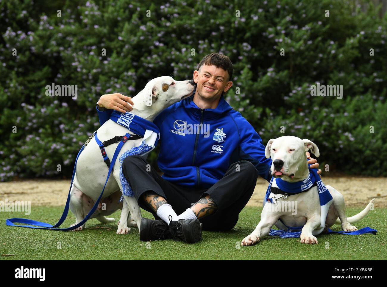 Jasper Pittard of Kangaroos poses for a photograph with dogs Roo (left ...