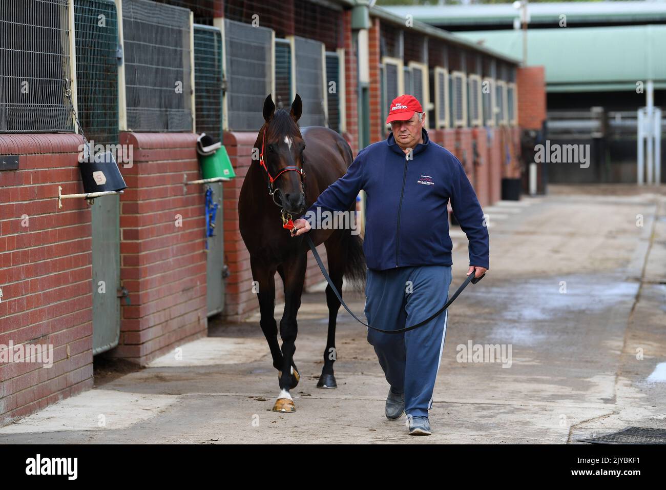 Trainer Michael Moroney parades Alabama Express during a media ...