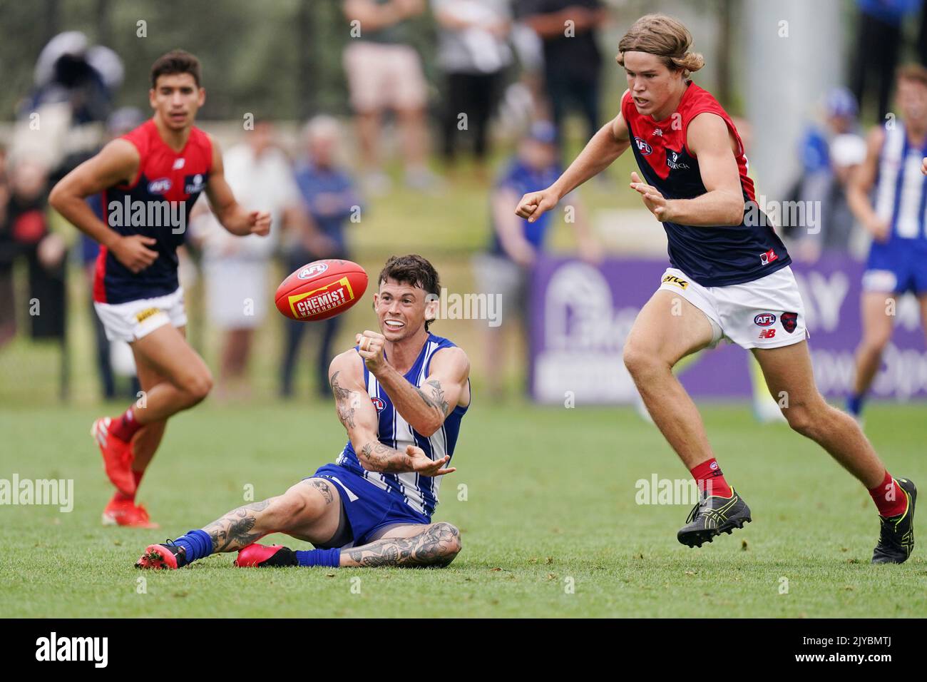 Jasper Pittard of the Kangaroos gathers the ball during an AFL pre ...