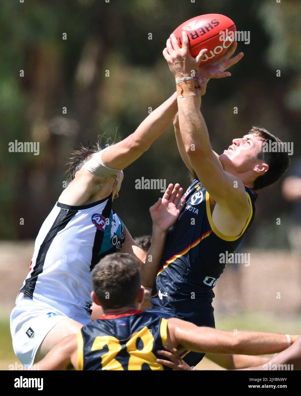 Tobin Cox of the Power and Jake Kelly of the Crows contest the ball ...