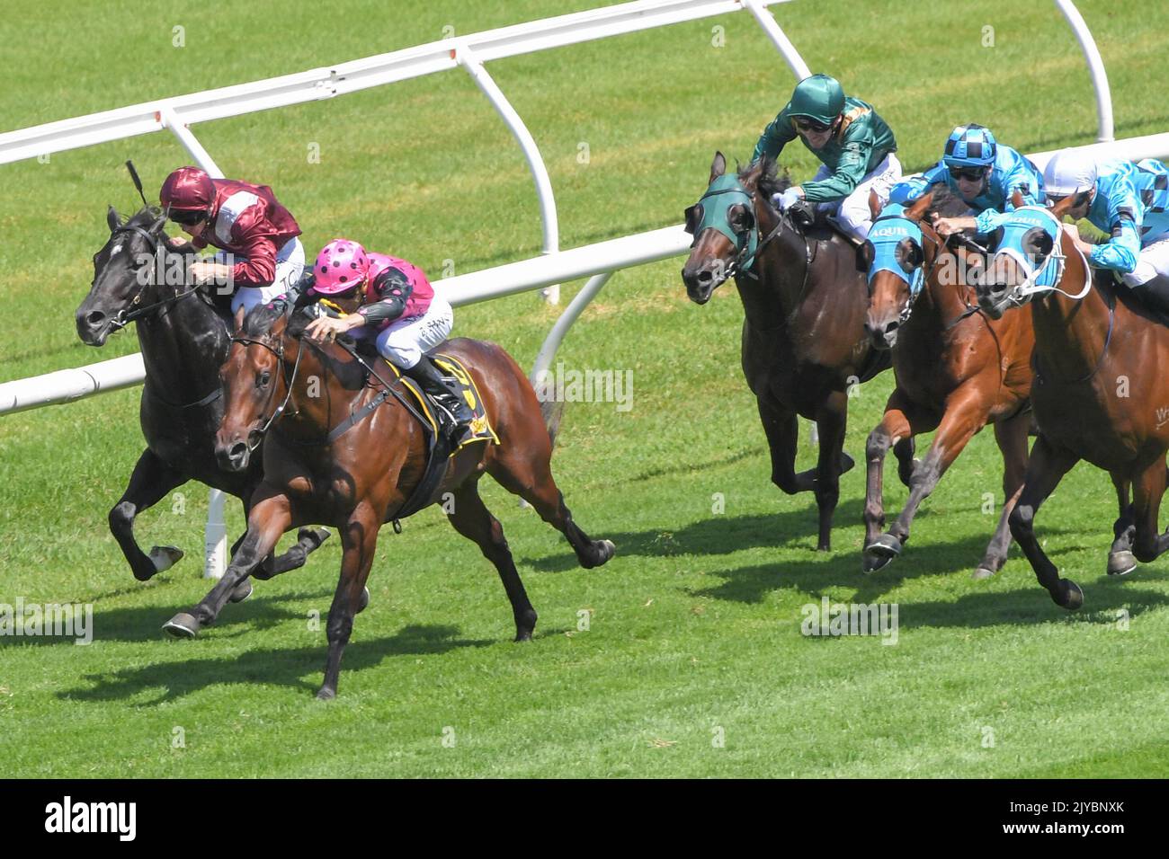 Jockey Blake Shinn rides Mamaragan to victory in race 3, the Schweppes ...