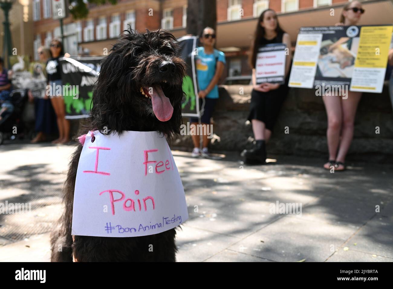 Protestors hold placards during a protest against animal ...