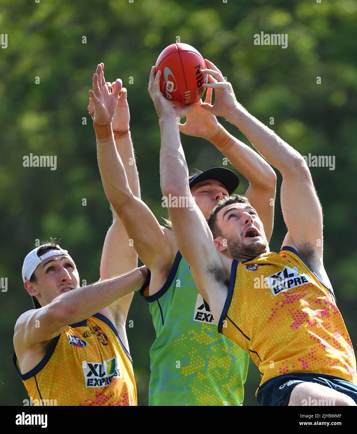 Darcy Gardiner (right) takes a mark during Brisbane Lions training at ...
