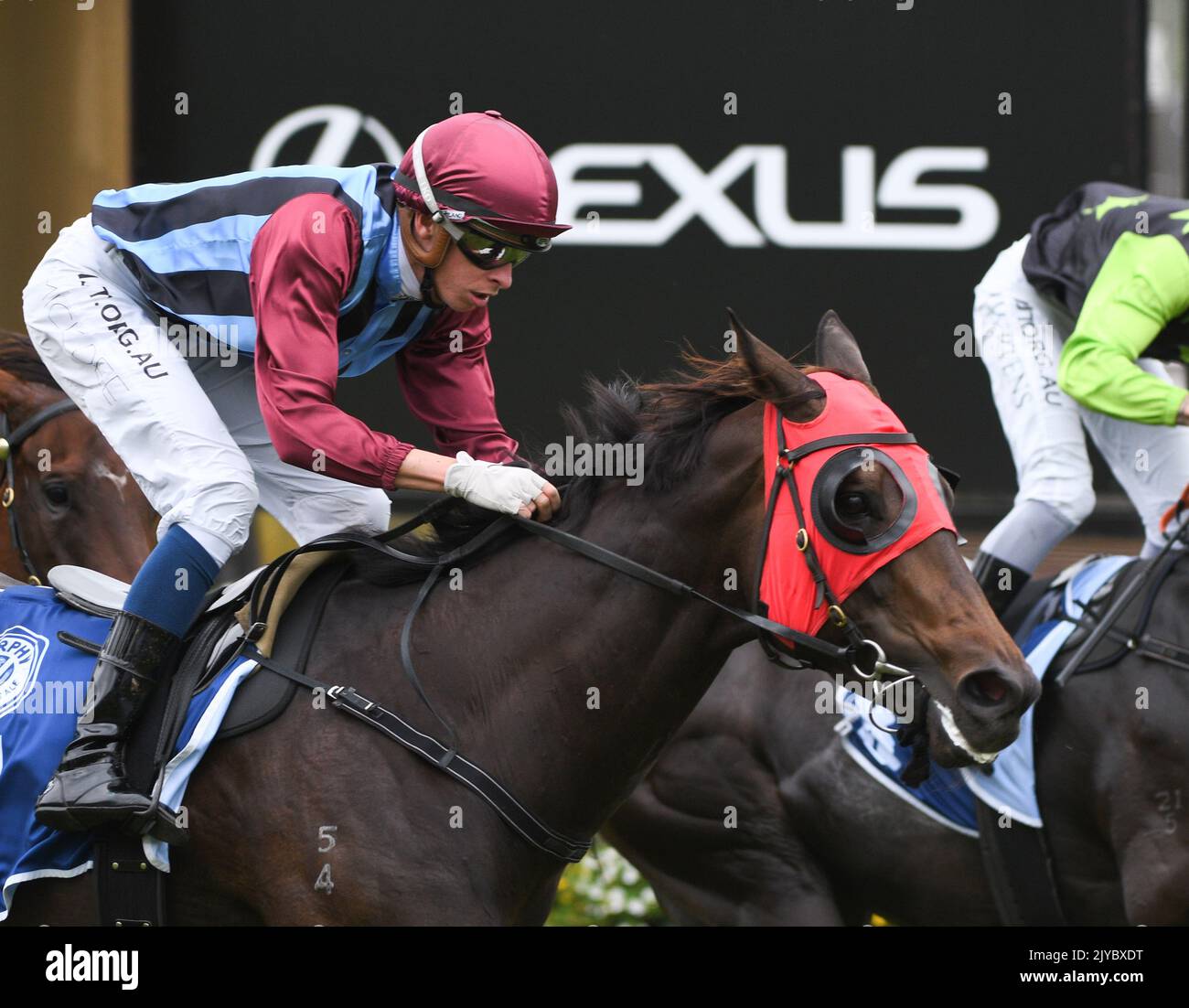 Jockey Michael Dee rides Jamaican Hurry to victory in race 2, the ...