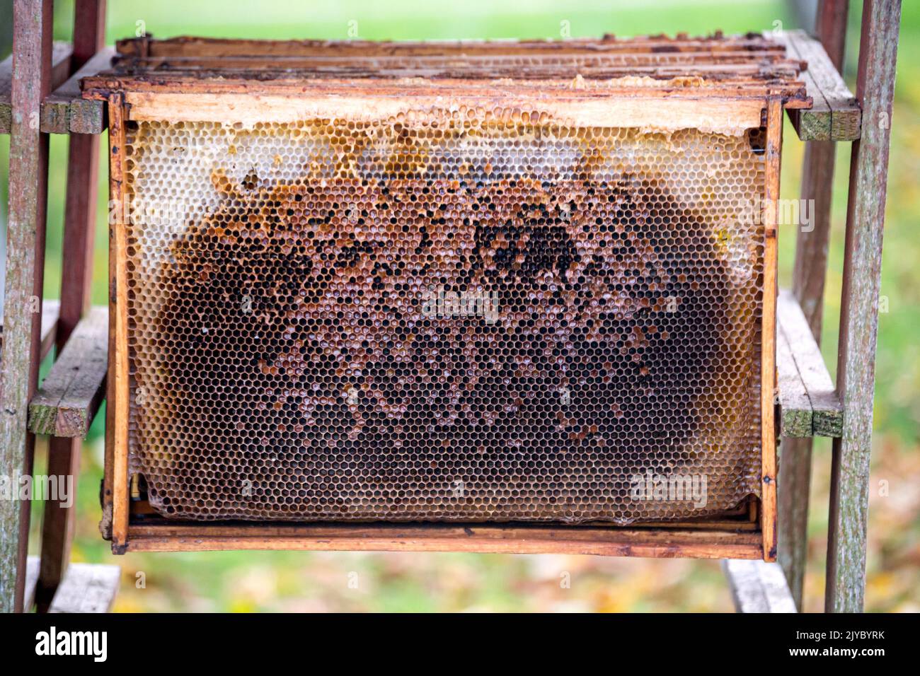 Exposed wooden frames hi-res stock photography and images - Alamy