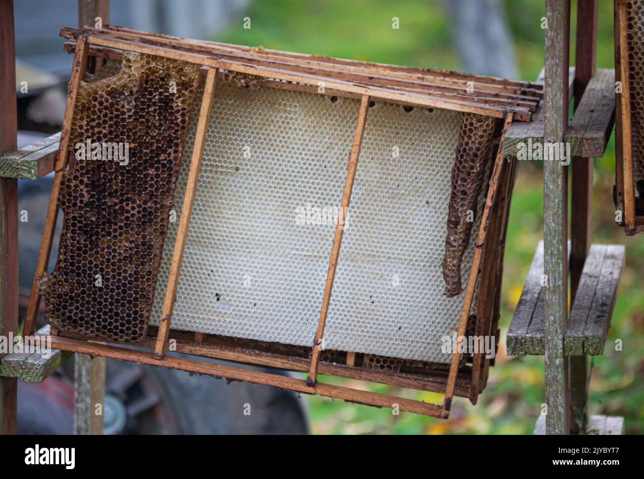 Old wooden frames for bees are exposed to dry Stock Photo - Alamy