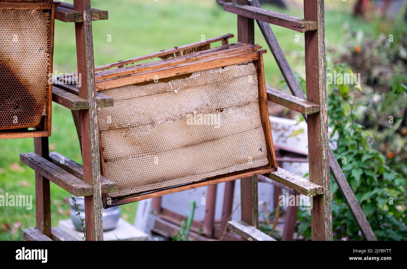Old wooden frames for bees are exposed to dry Stock Photo - Alamy