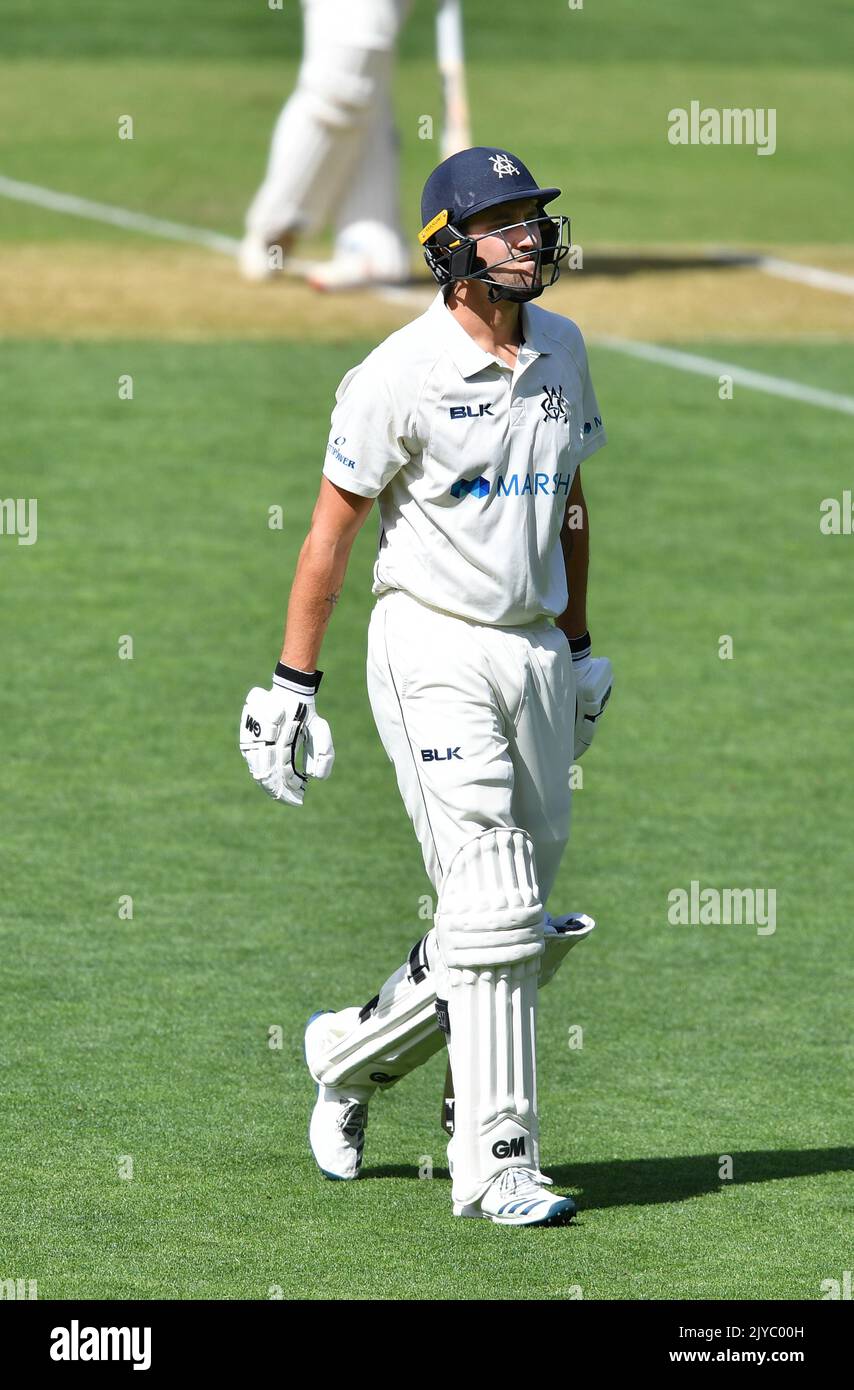 Matthew Short from the Bushrangers walks from the field after his ...