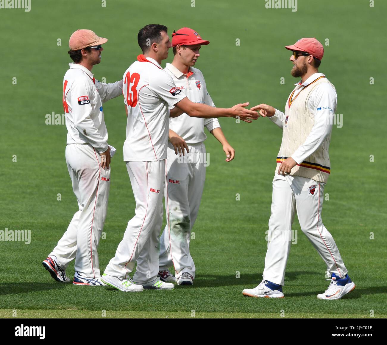 Redback players celebrate the dismissal of Will Sutherland from the ...
