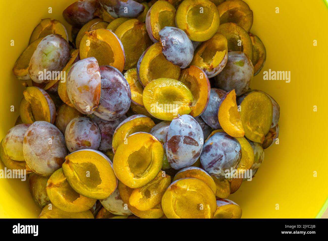 Plums harvest.Plum halves background.Yellow pulp of fruits in a yellow ...