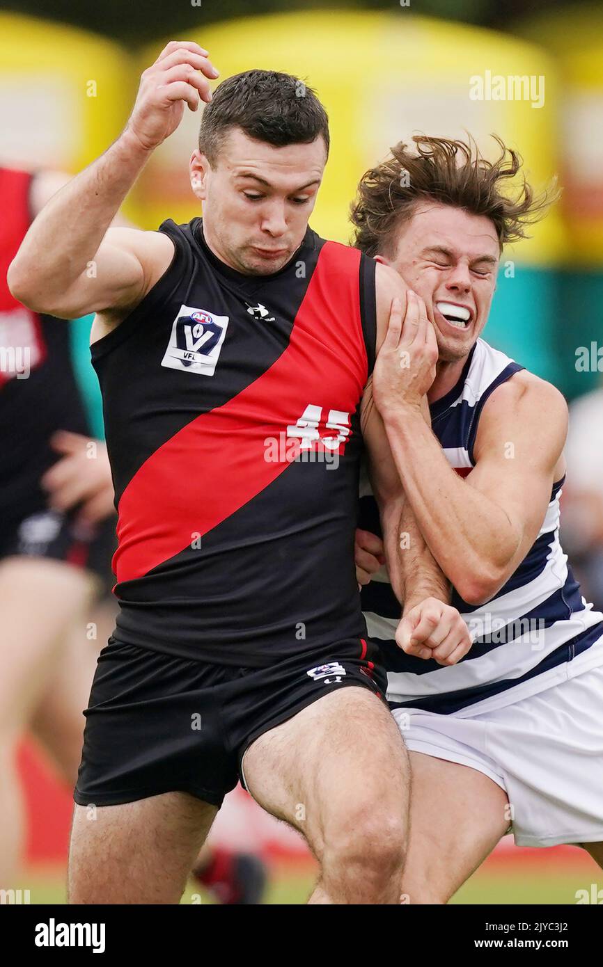 Conor McKenna of the Bombers (left) bumps Oscar Brownless of the Cats ...