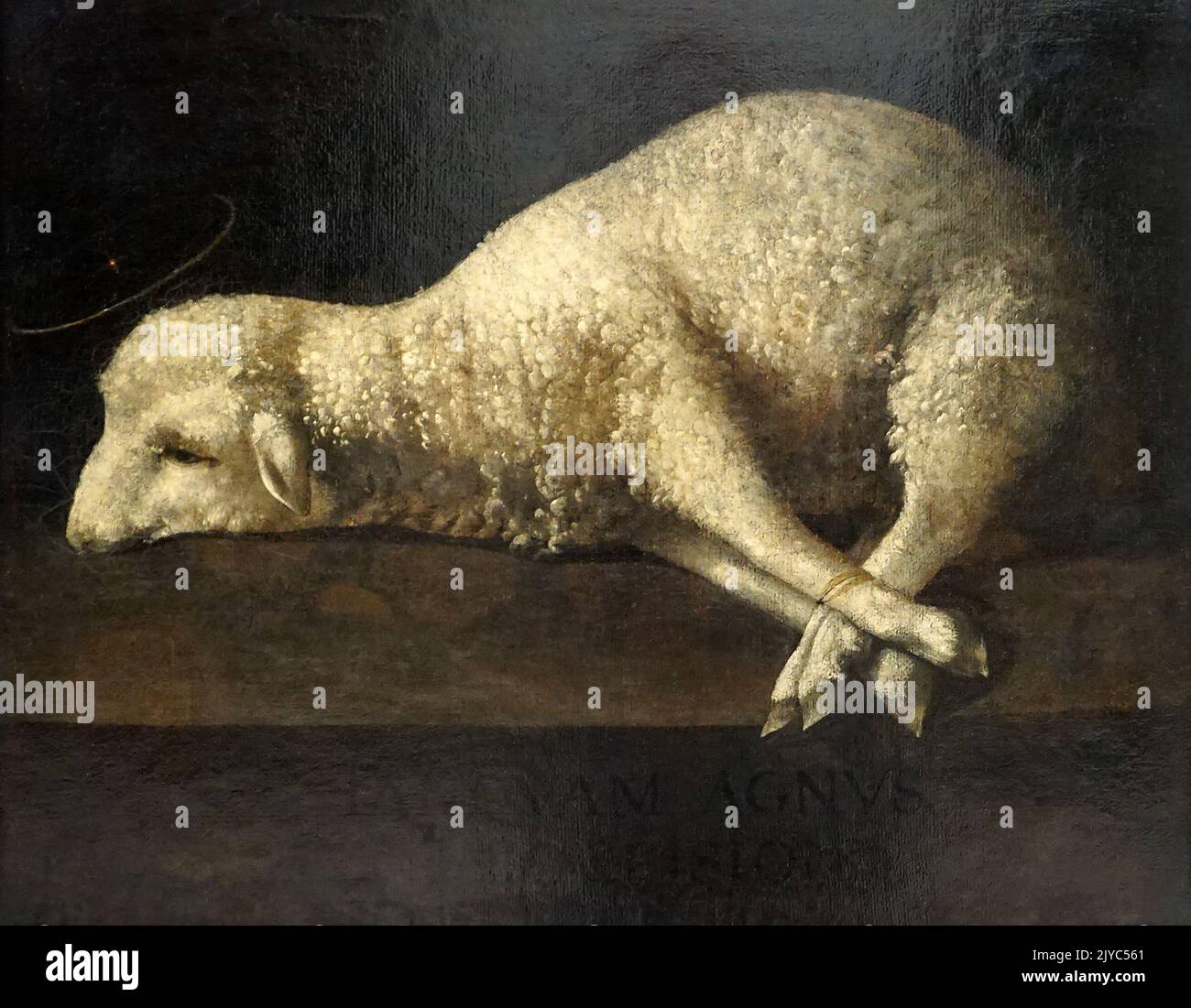 Agnus dei hi-res stock photography and images - Alamy