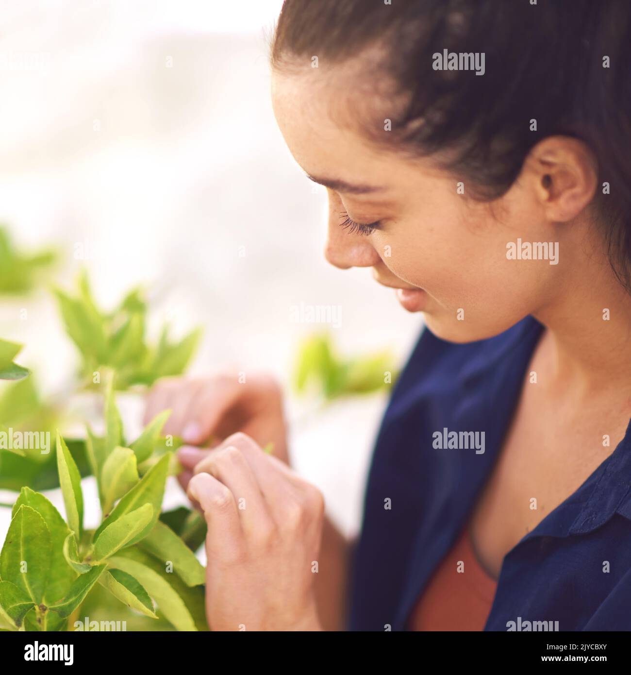 Inspecting outdoor garden hi-res stock photography and images - Alamy