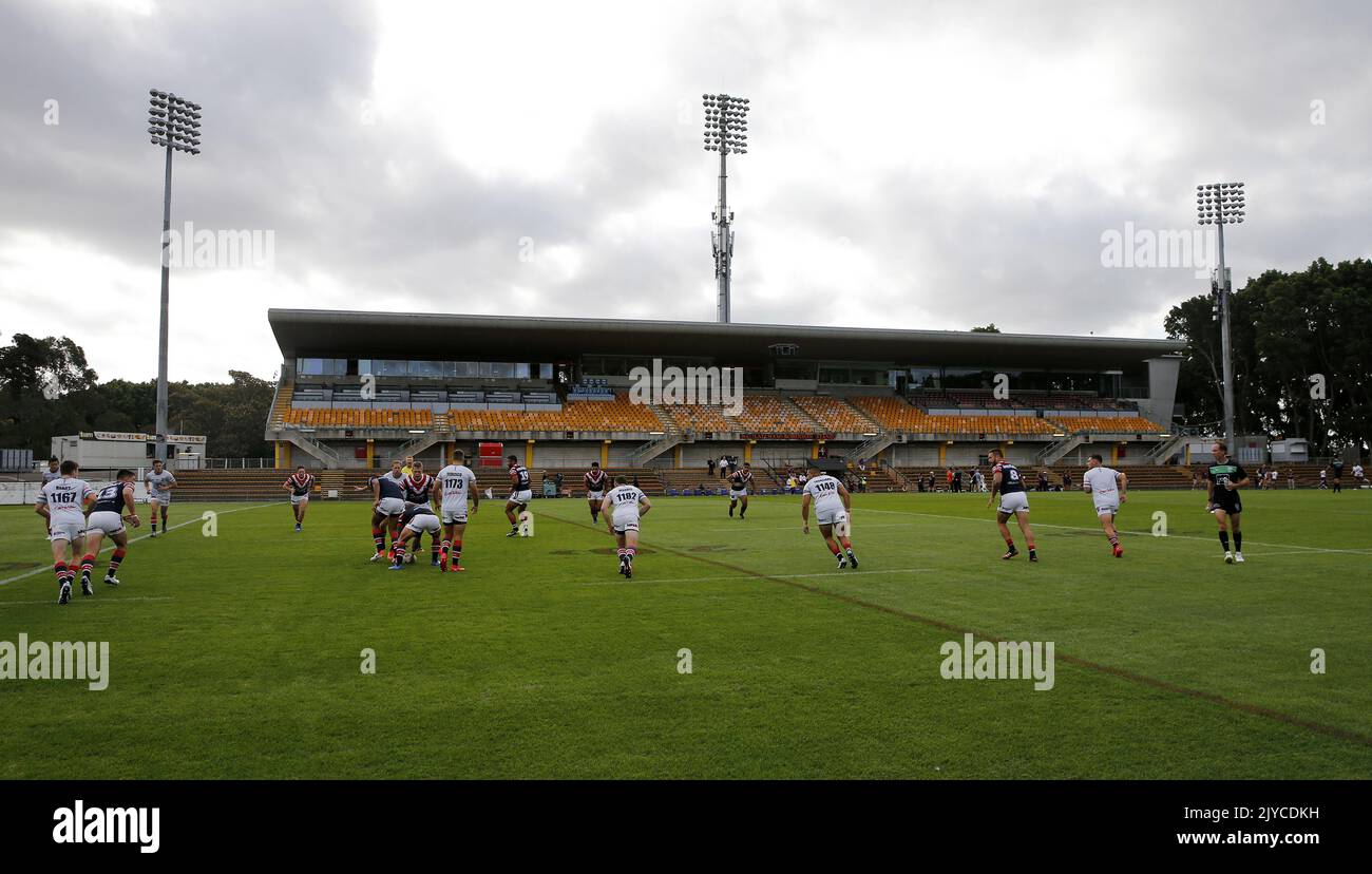 Roosters players warm up in the empty Stadium before the round 2 NRL ...